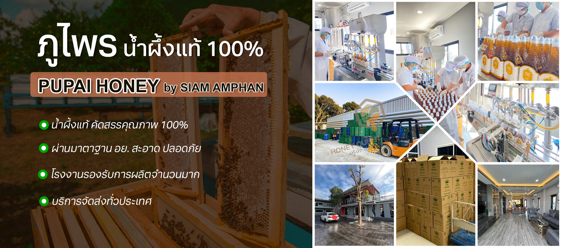 ภูไพร สยามอำพัน – ผลิตและจำหน่าย น้ำผึ้งแท้ 100%